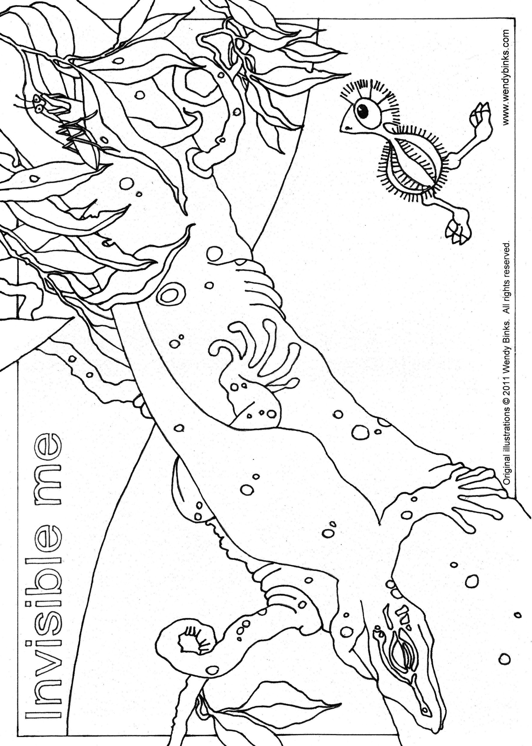 Free Activity Download – Wendy Binks