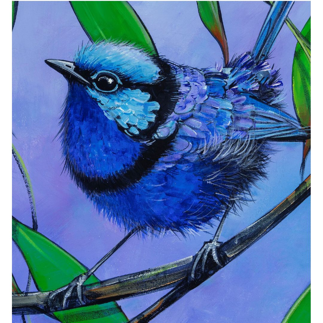 Splendid Boy - Wendy Binks