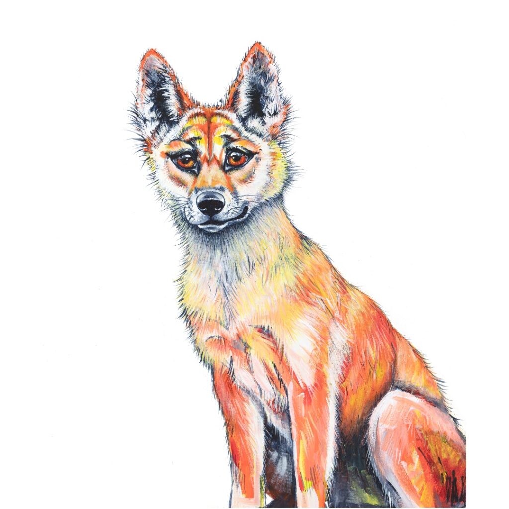 Dingo on the Larapinta – Wendy Binks