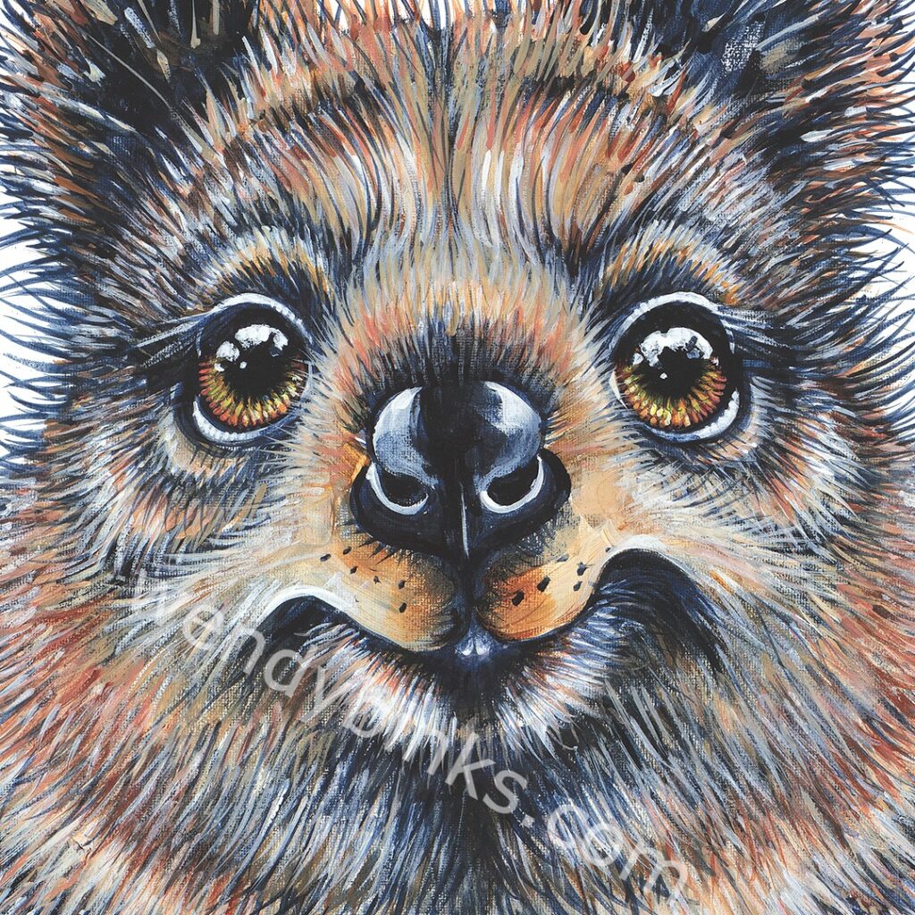 Quokka Smile – Wendy Binks