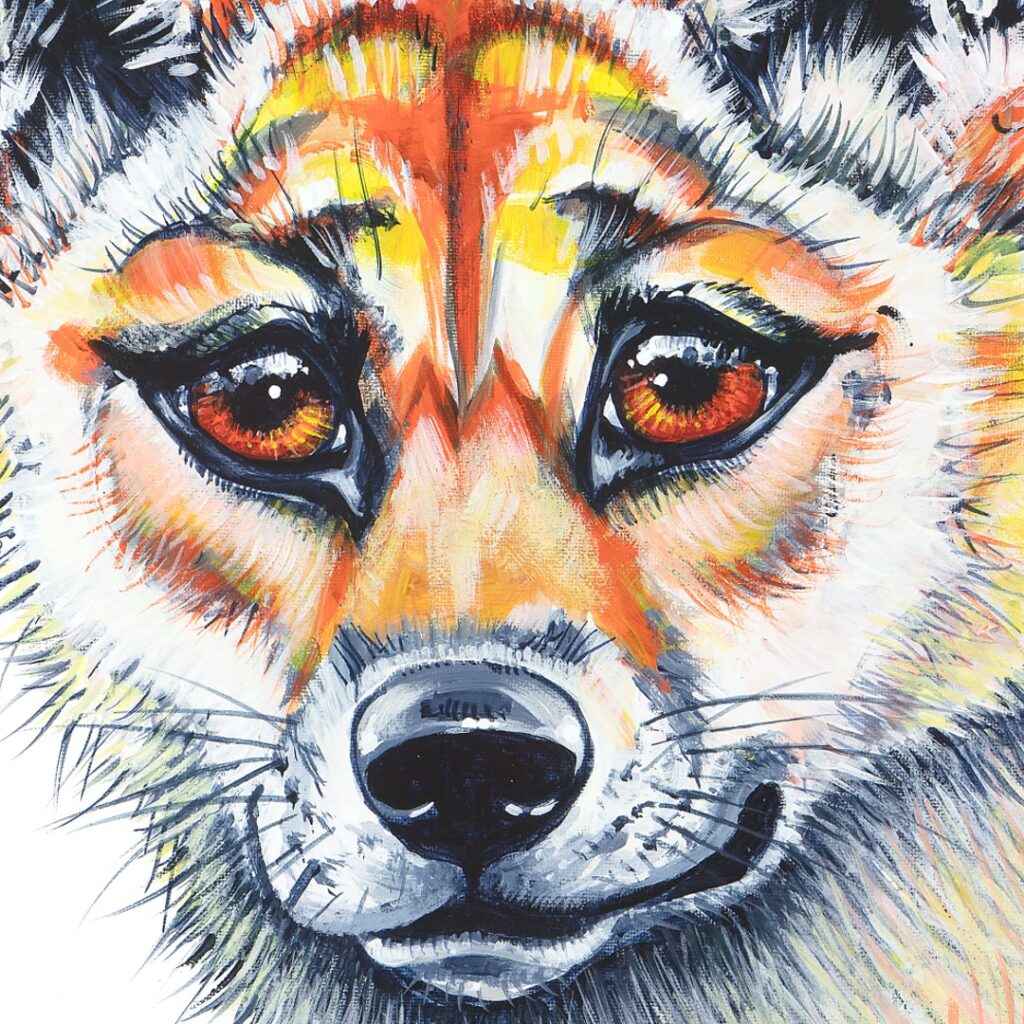 Dingo – Wendy Binks